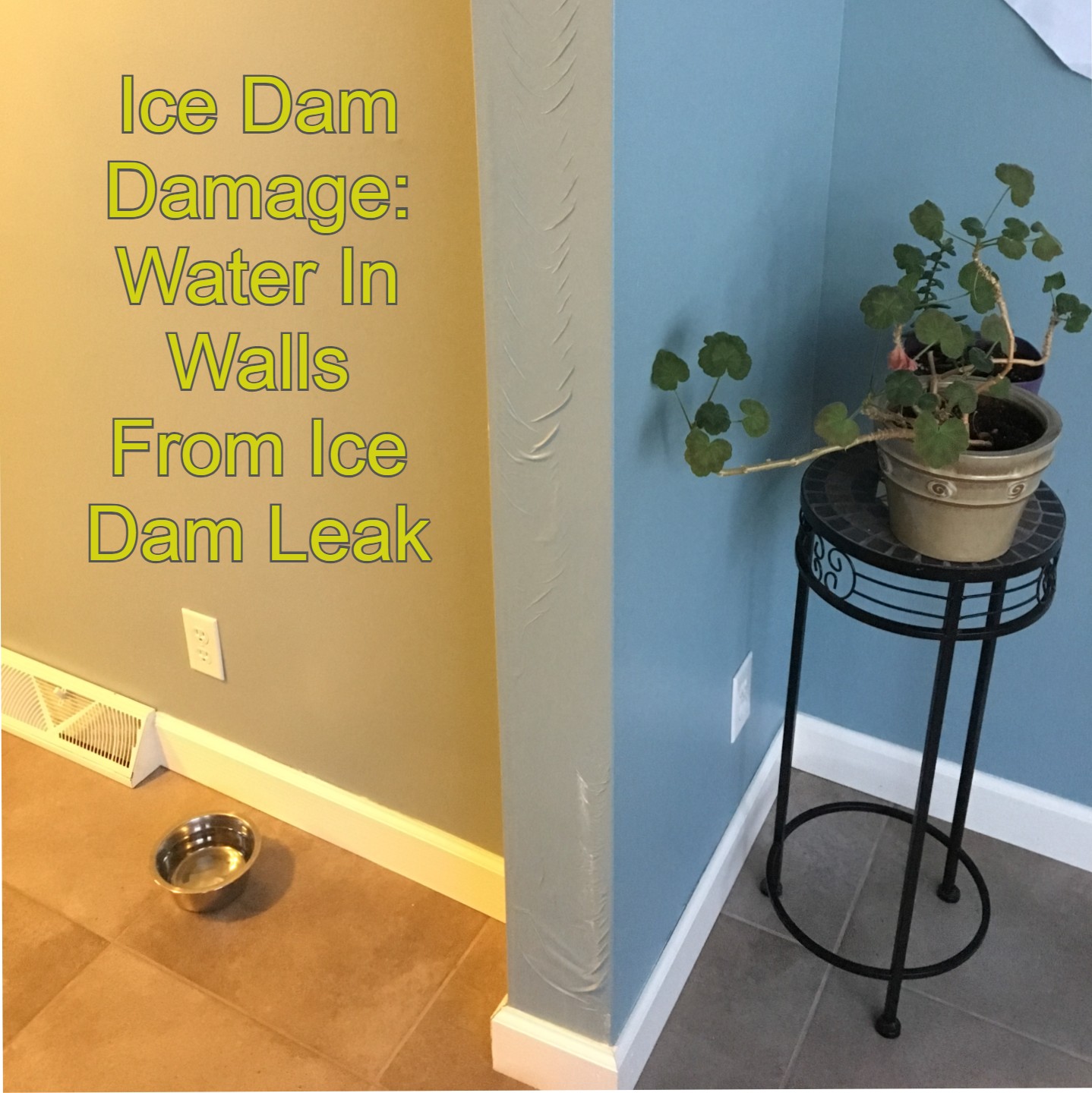 Ice Dam Leak & Damage Warning Signs | Ice Dam Water Damage